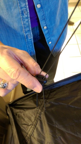 CVI Den – Strategy To See